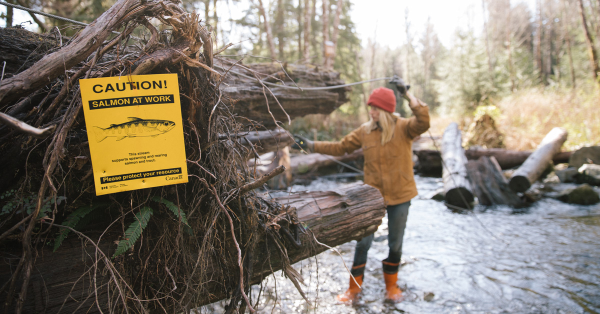 For the love of salmon - WWF.CA