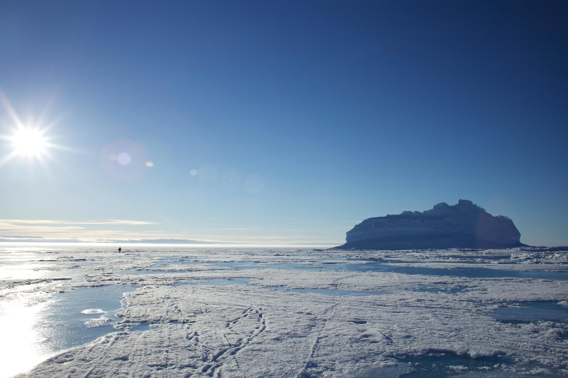 Protecting The Last Ice Area | WWF.CA