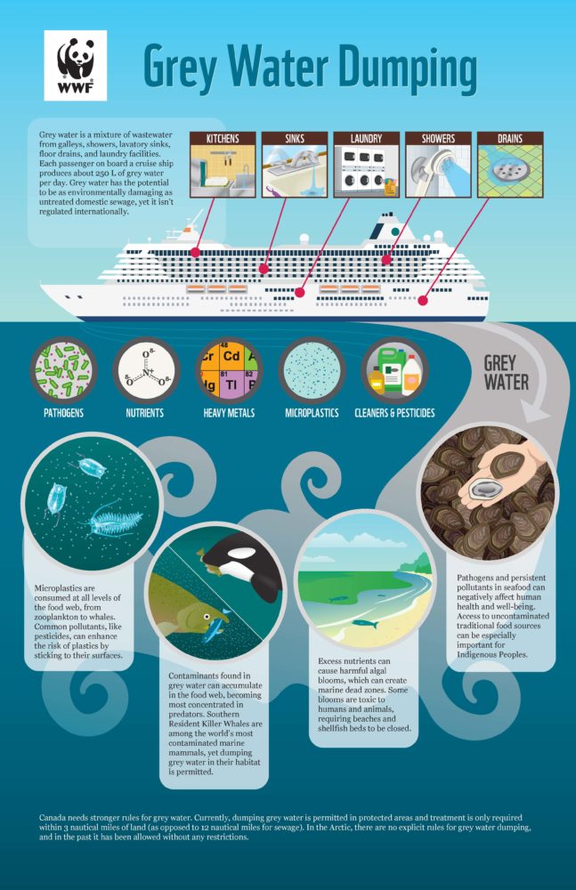 Grey water dumping threatens ocean health and people - WWF.CA