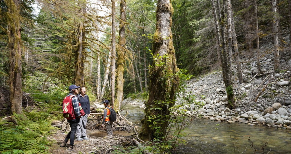 Coastal Habitat Restoration | WWF.CA