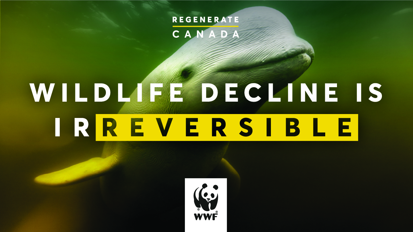 Megan Leslie on reversing the 'irreversible' - WWF.CA