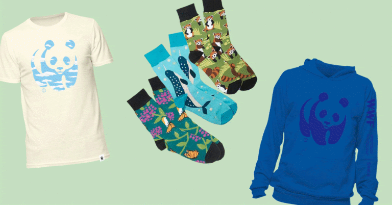 Holiday gift guide: WWF-Canada reveals six new adoptable species and ...