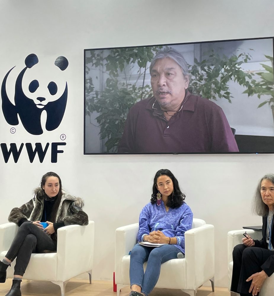 WATCH: Inuit resilience and solutions to climate change in Arctic ...