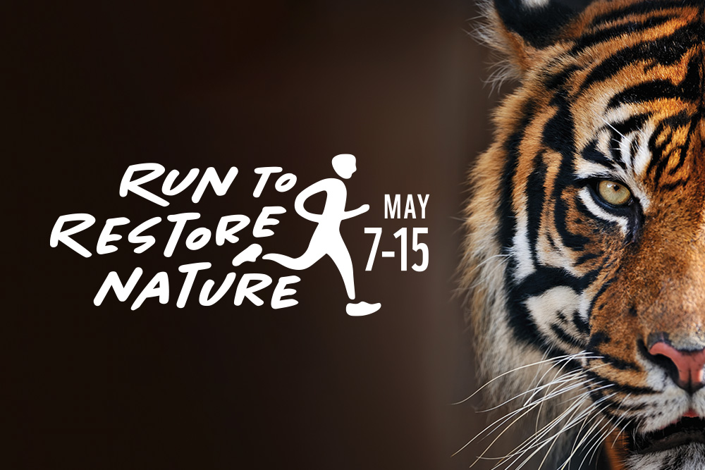 Engage employees while going the distance for nature and wildlife - WWF.CA