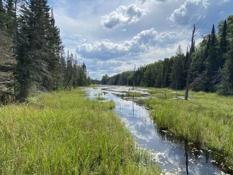 Learn the five seasons of the Ojibwe calendar - WWF.CA