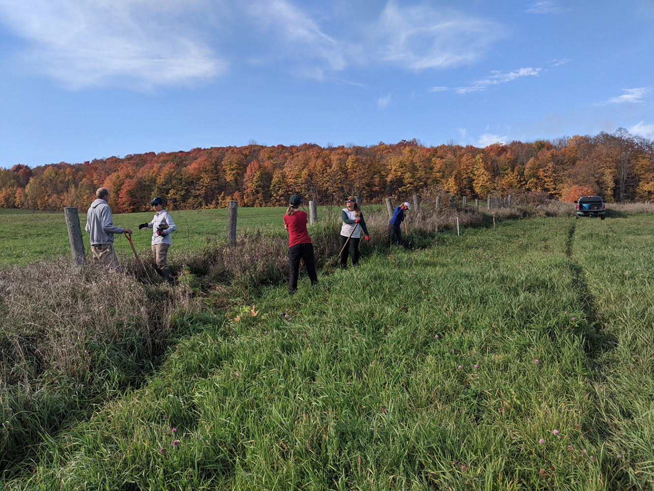 One year, big impact: 90,000 trees, shrubs planted and 160 hectares ...