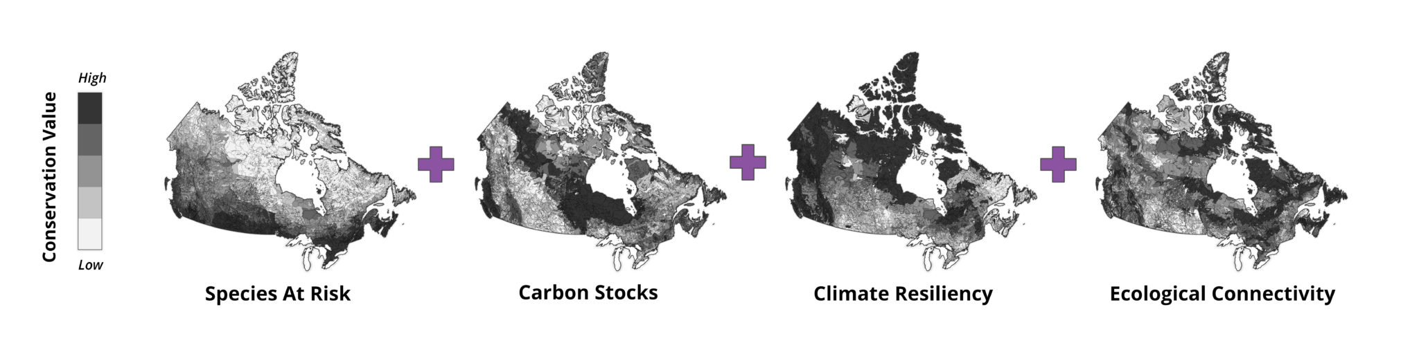 Spotlight on the Hudson and James Bay Lowlands - WWF.CA