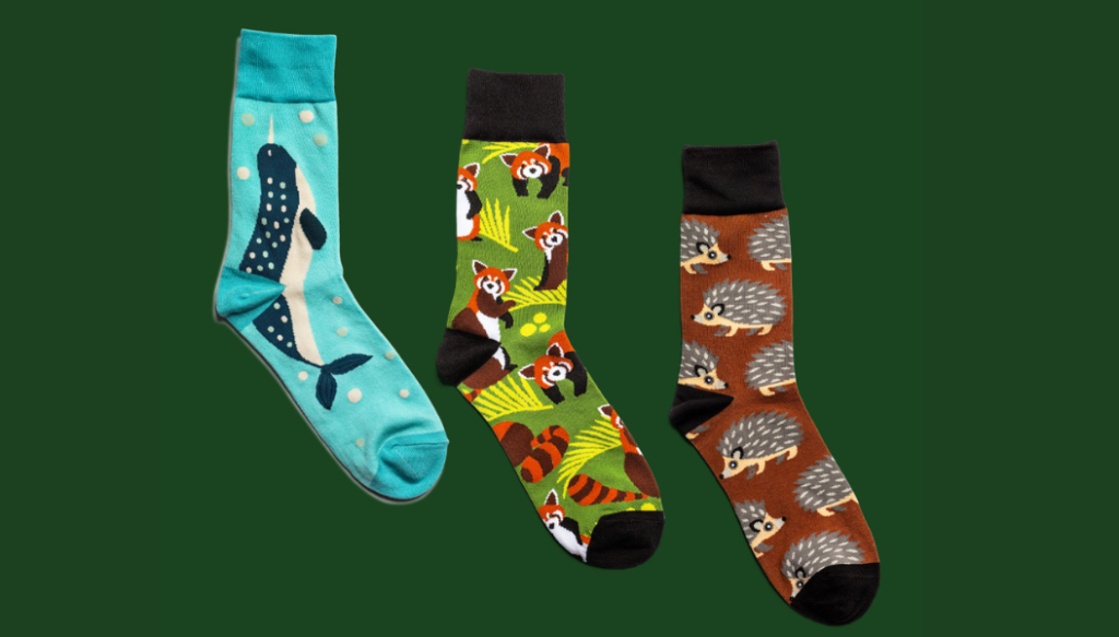 WWF Gift Guide: 9 ways to spread joy and safeguard wildlife this ...