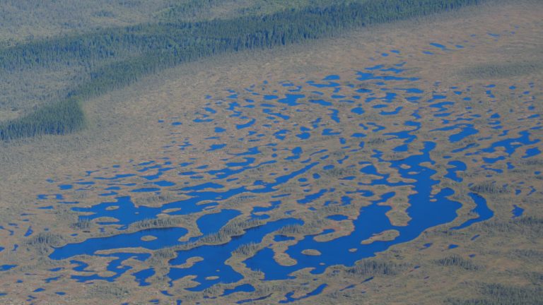 Spotlight on the Hudson and James Bay Lowlands - WWF.CA