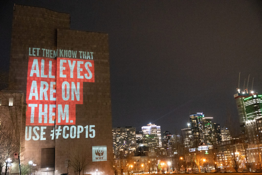 COP15: The world is watching. The clock is ticking. Wildlife is waiting ...