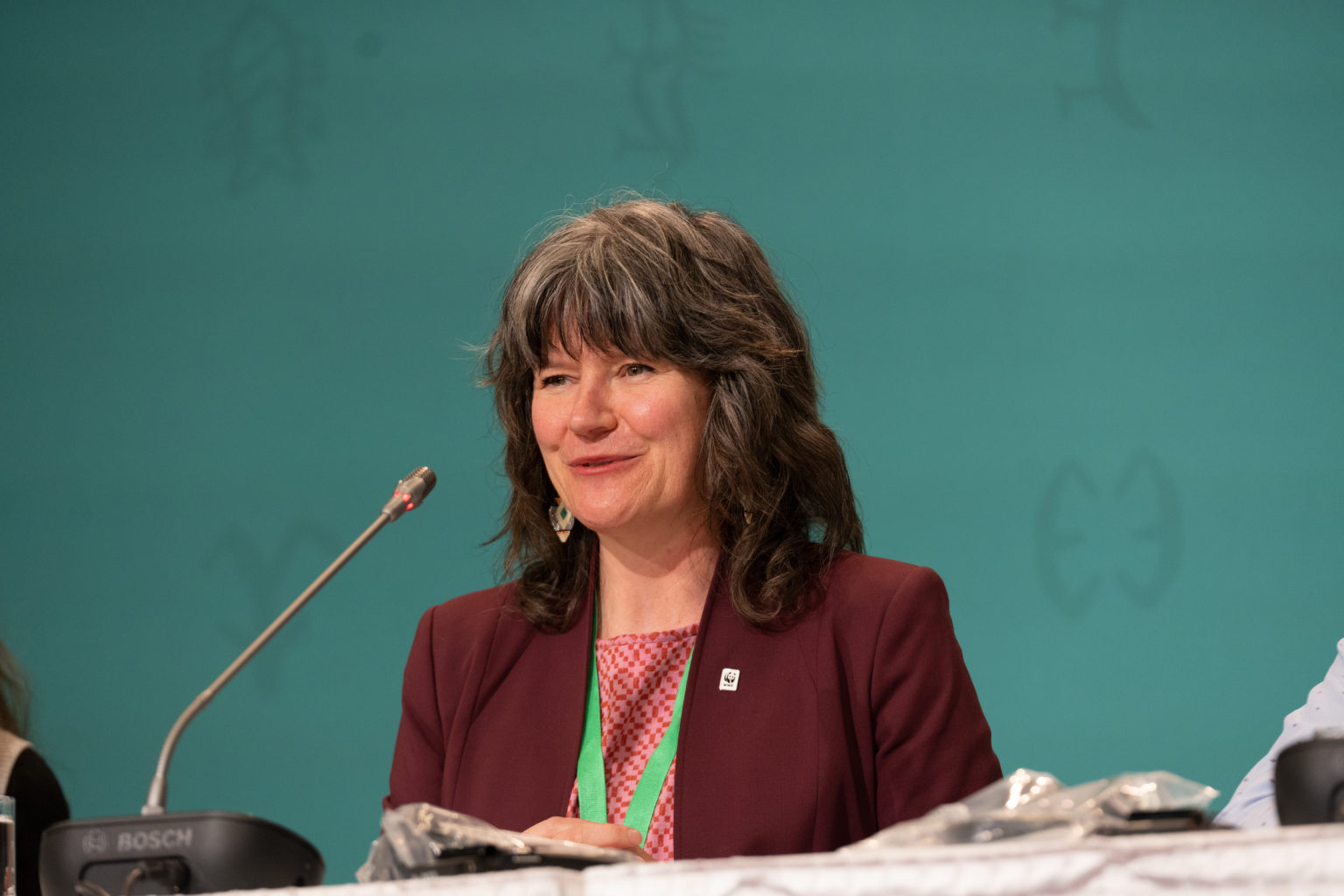 'We need to understand — we are nature:’ Indigenous leaders speak out ...