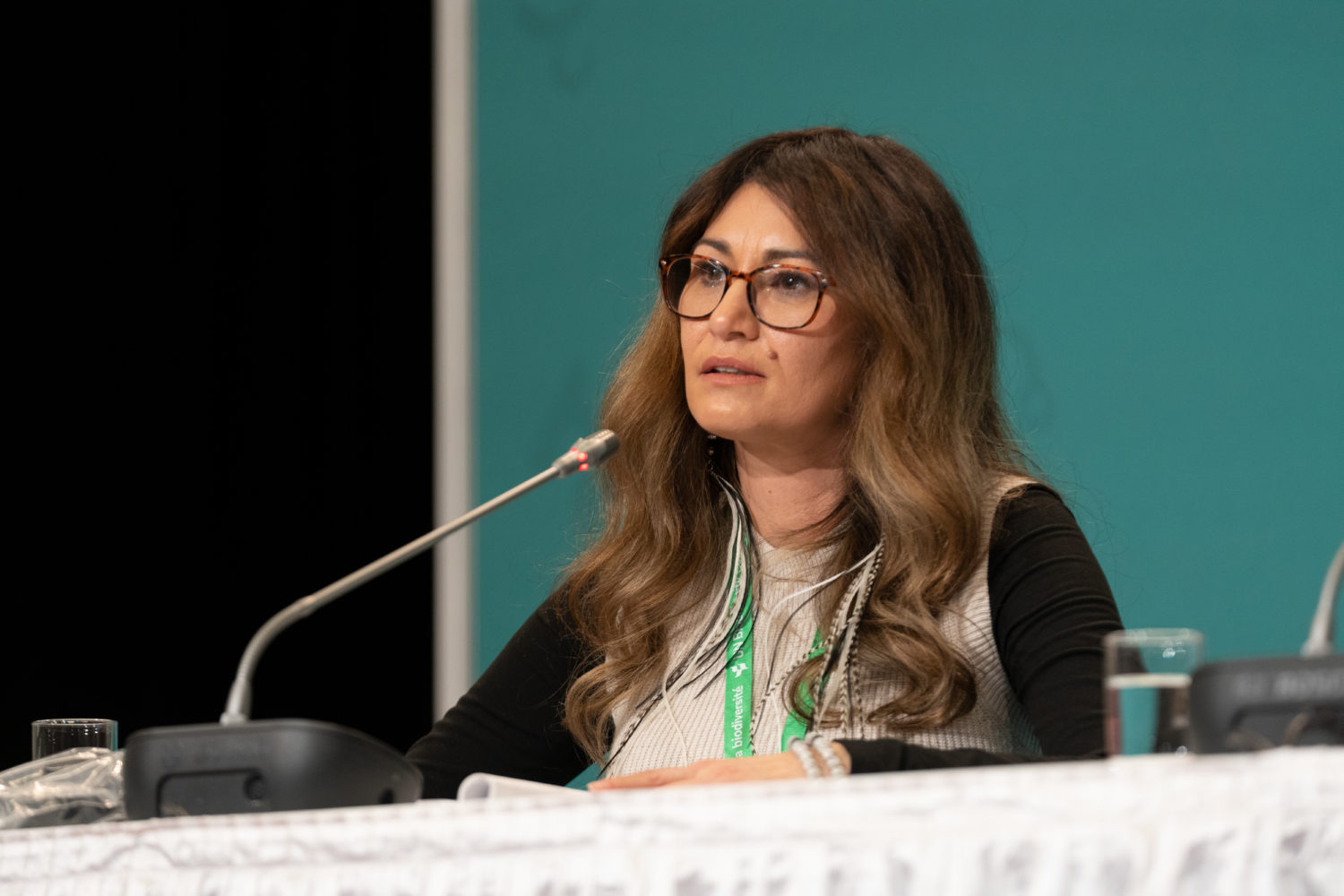 'We need to understand — we are nature:’ Indigenous leaders speak out ...