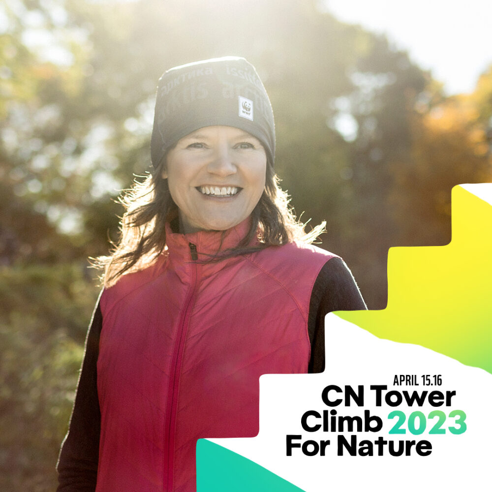 Meet some of the CN Tower climbers helping fundraise $1 million for ...