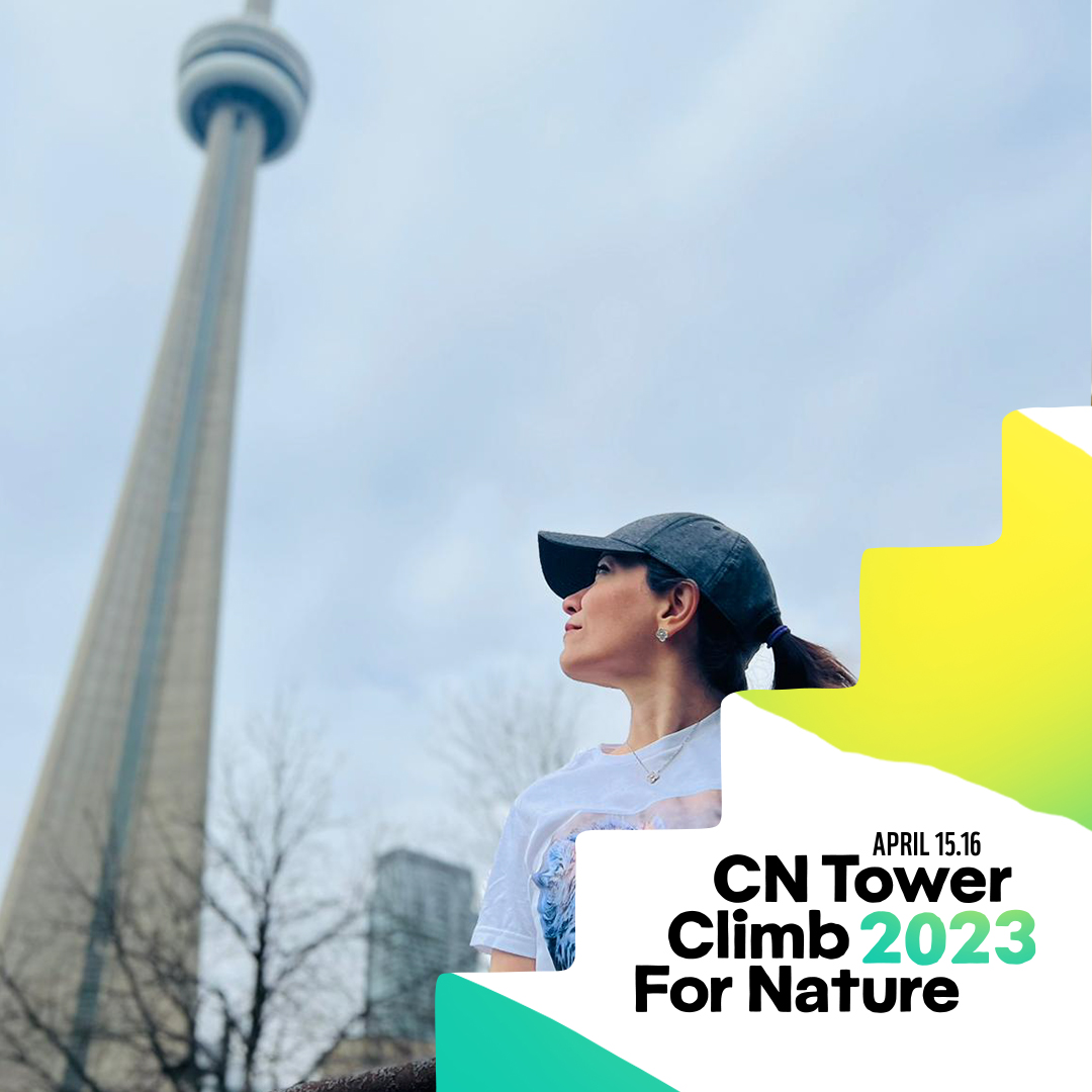 Meet some of the CN Tower climbers helping fundraise $1 million for ...