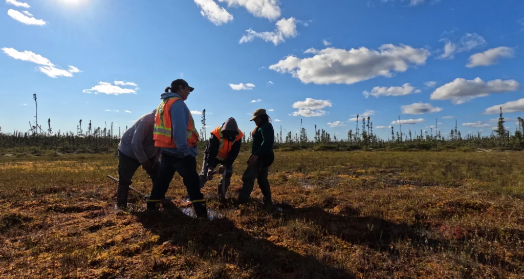 Mission Restoration - WWF.CA