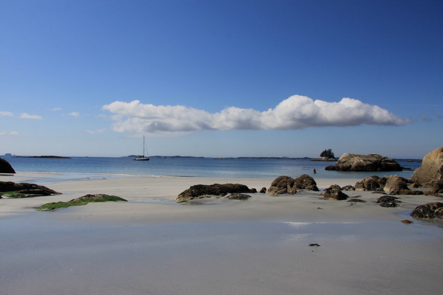 Wildlife Habitat Conservation In Canada | WWF.CA