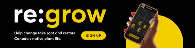 Native plants of PEI to celebrate and cherish - WWF.CA