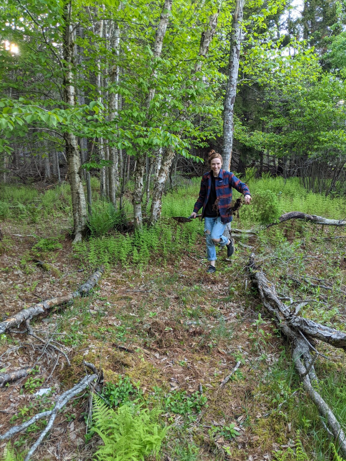 What is restoration? A look at one of nature conservation’s most critical tools - WWF.CA