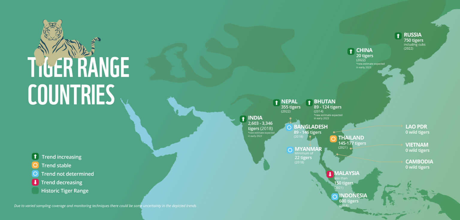 Restoring their roar: What do the next 12 years hold for tigers? - WWF.CA