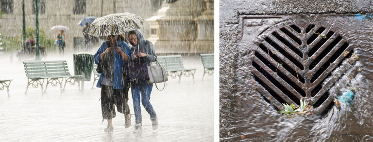 What is a rain garden (and how does it reduce climate change impacts ...