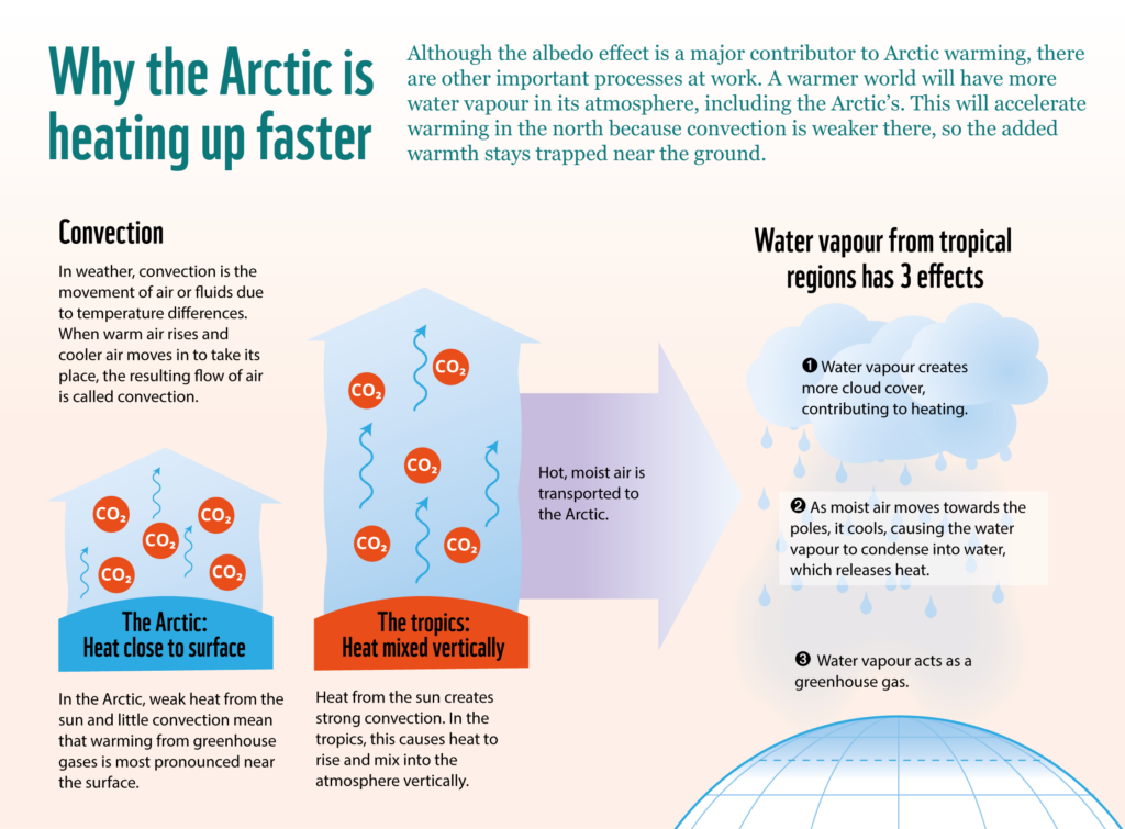 Why is the Arctic warming faster than the rest of the planet? - WWF.CA