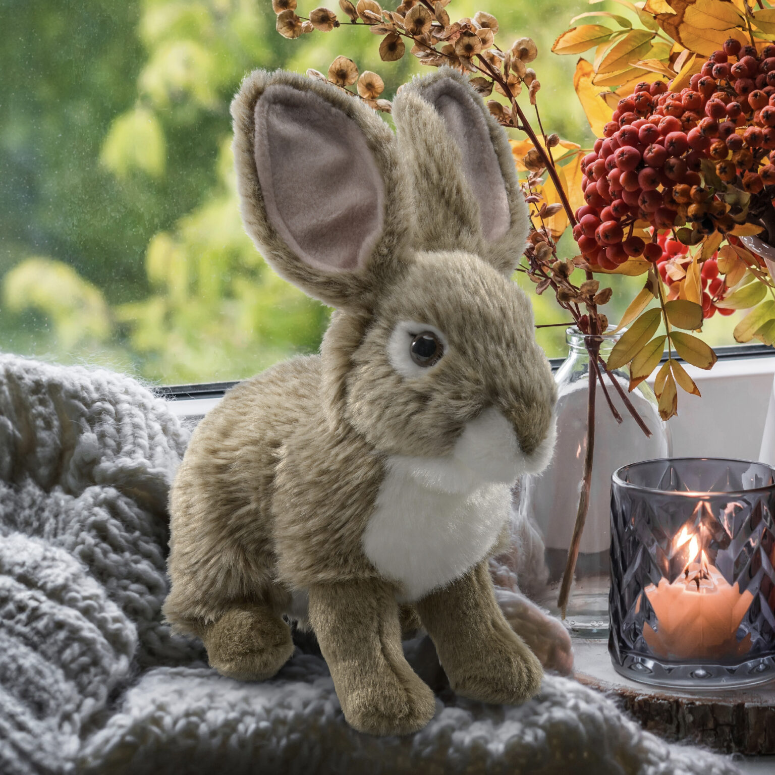 World Wildlife Fund Canada | WWF.CA