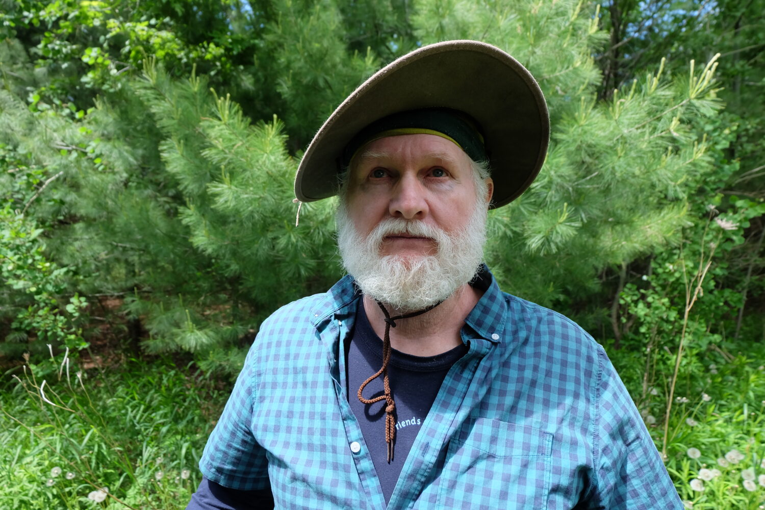 Act Locally: How native plants can help you take on invasive species ...