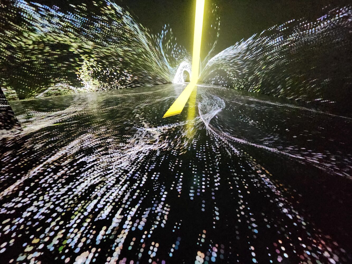 World Wildlife Fund Canada | WWF.CA