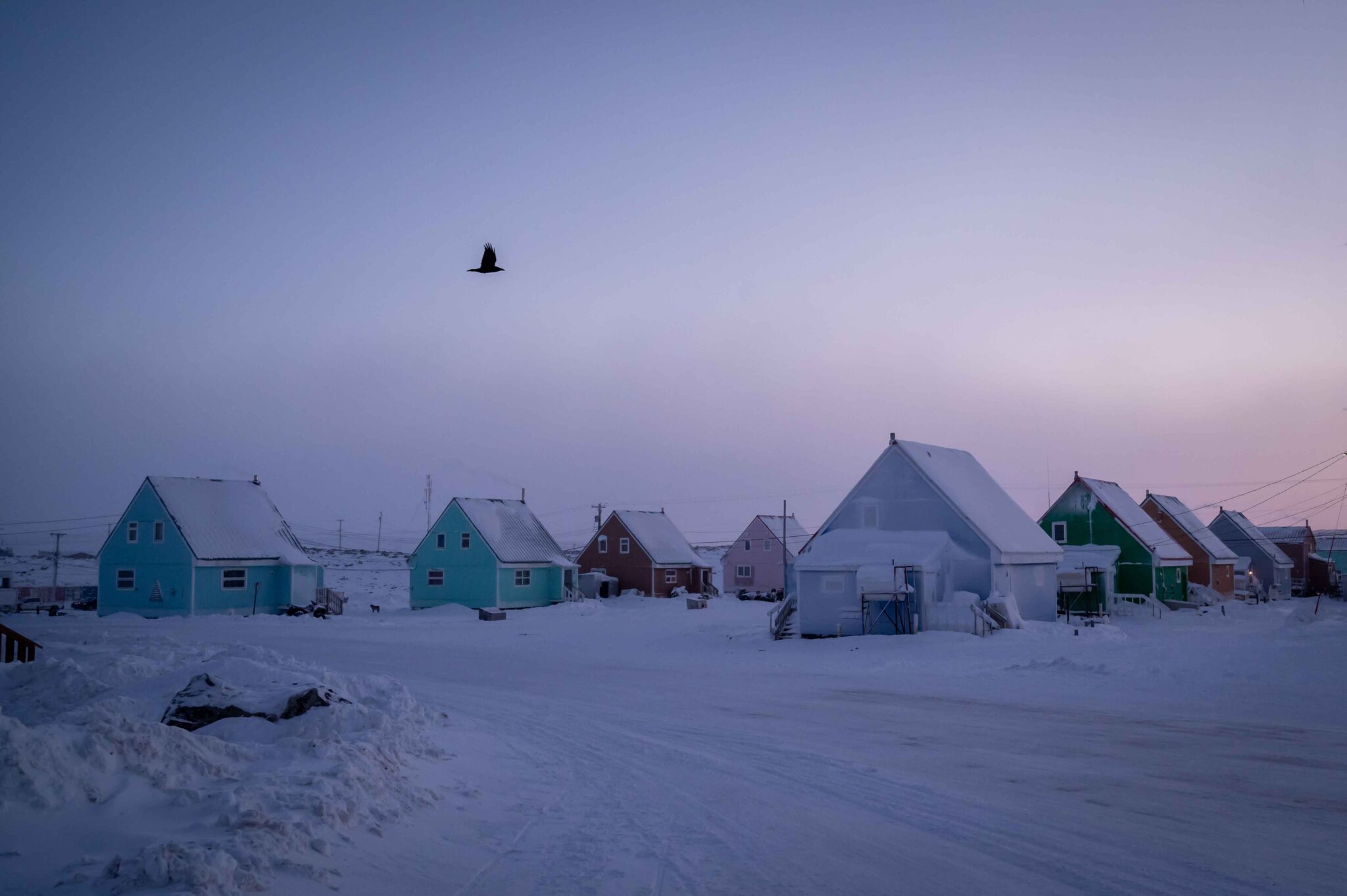 Supporting Inuit-led conservation in Nunavut - WWF.CA