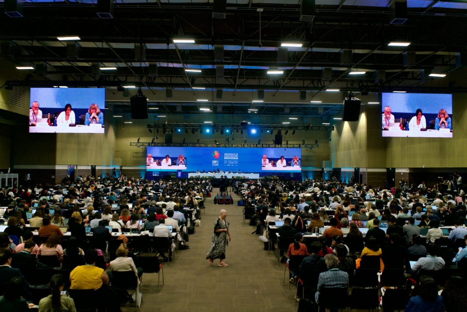 COP16 comes together for Indigenous Peoples, falls apart on nature ...