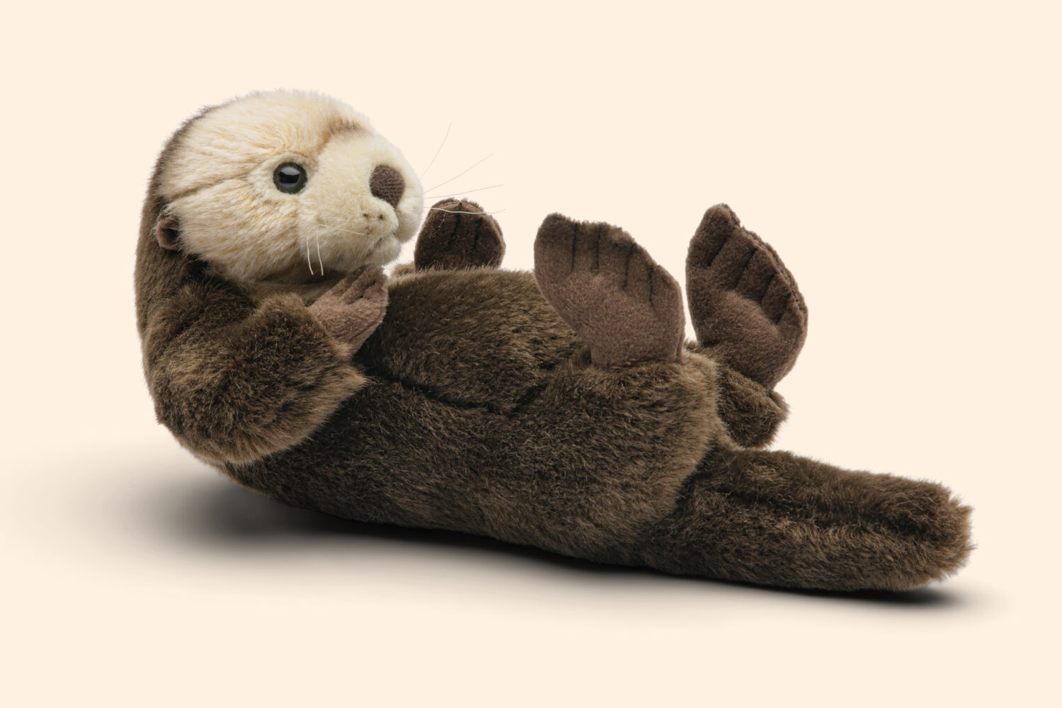 10 facts you otter know about sea otters - WWF.CA