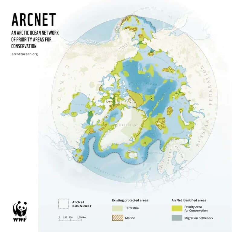 WWF Global Arctic Programme conservation wins 2024 - WWF.CA