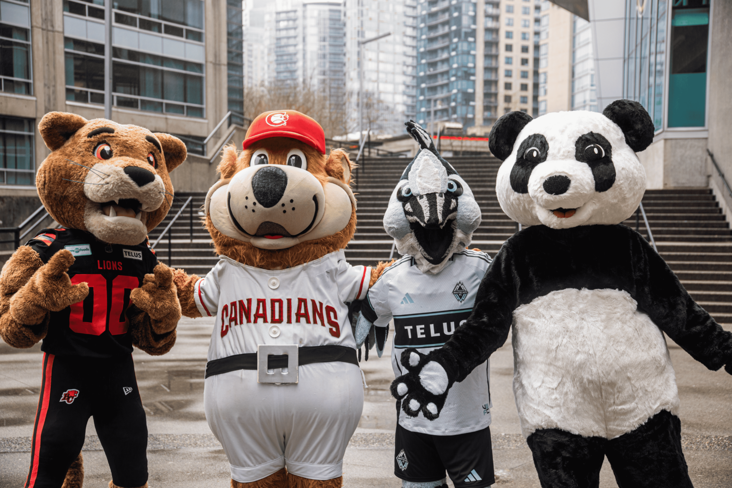 Panda is training for the BC Place Climb for Nature with a little help ...