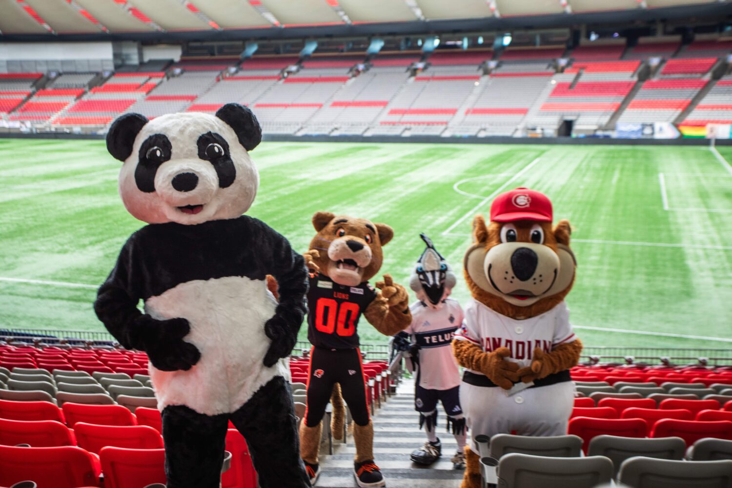 Panda is training for the BC Place Climb for Nature with a little help ...