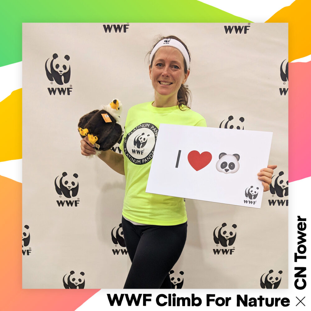 Climbing the CN Tower for a cause: Meet the ordinary people taking on ...
