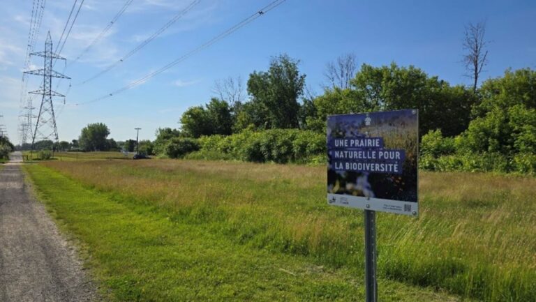 Bringing habitat back to hydro corridors - WWF.CA