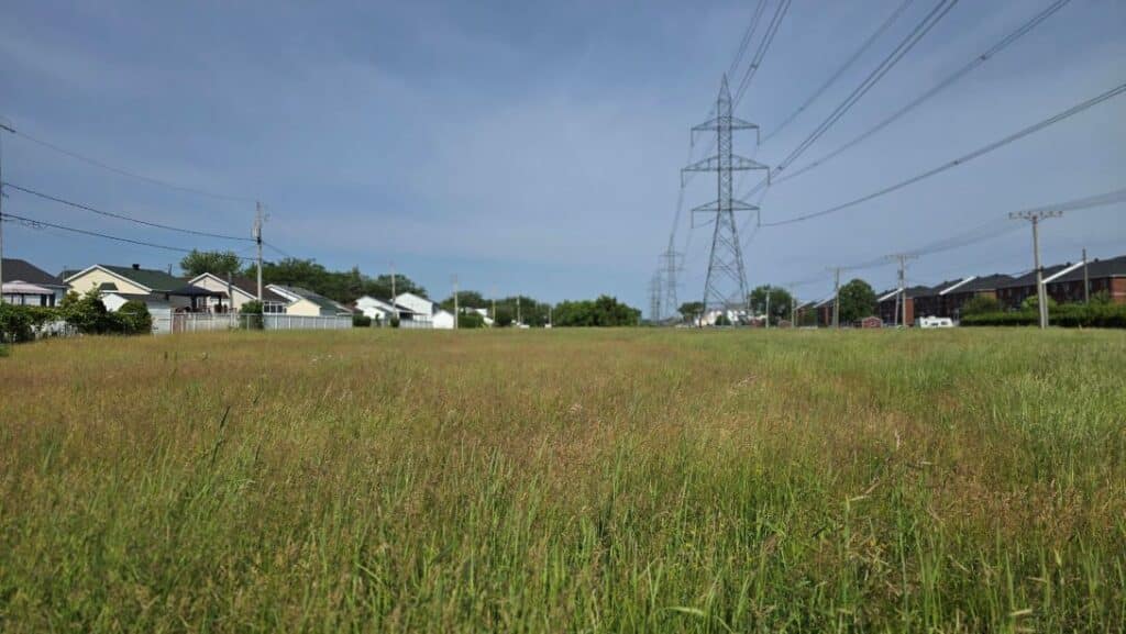 Bringing habitat back to hydro corridors - WWF.CA