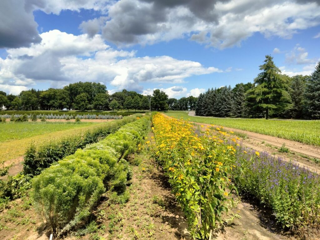 WWF-Canada scaling up seed orchard program to address seed shortage ...
