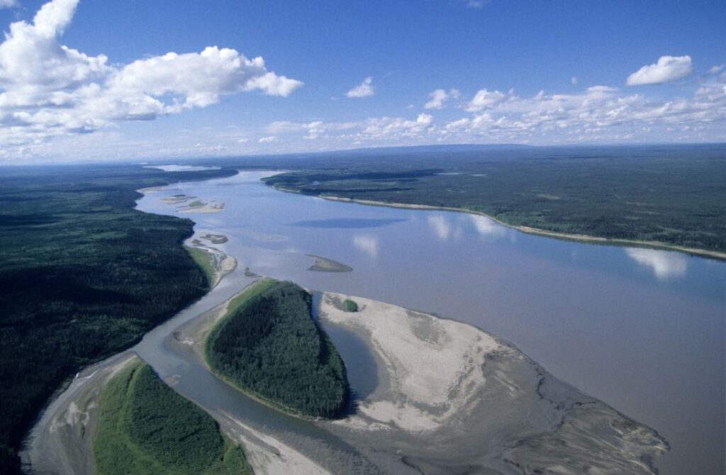 Northwest Territories’ native plants combine function, resilience and ...