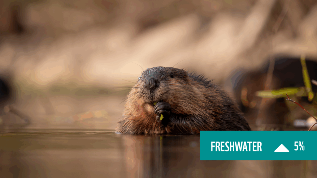 LPRC 2025: Here’s how wildlife populations are trending in Canadian ...
