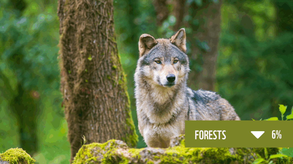 LPRC 2025: Here’s how wildlife populations are trending in Canadian ...