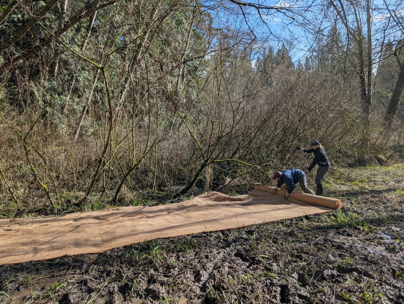 What are riparian buffers? And how does restoring them on private lands ...