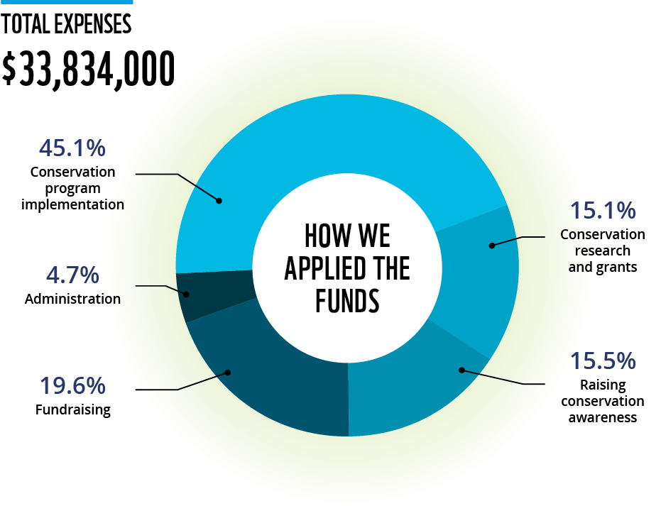 Financial Accountability: Where Your Money Goes | WWF.CA